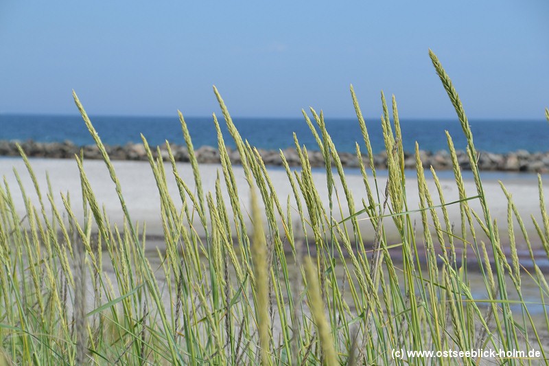 Ostseebilder - Strandbilder Probstei - Schönberg