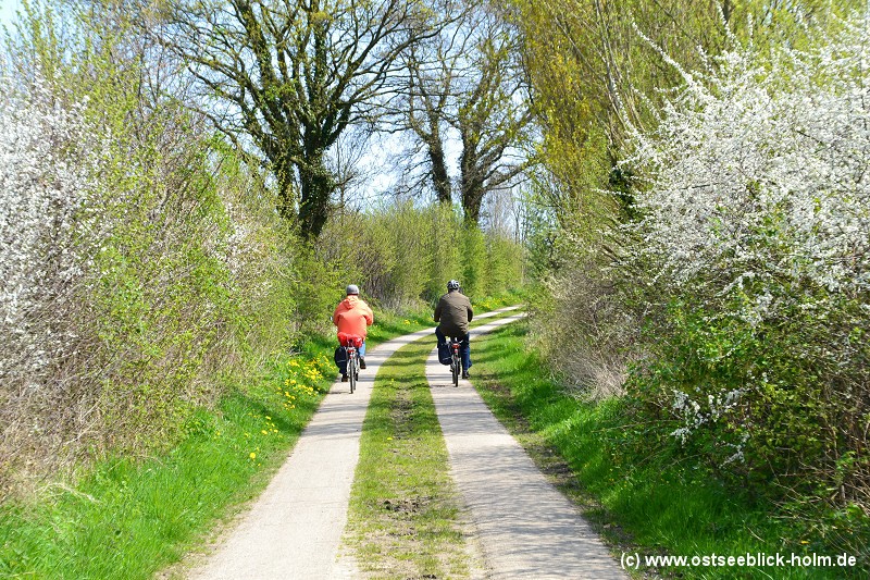 Ostseebilder - Strandbilder Probstei - Schönberg